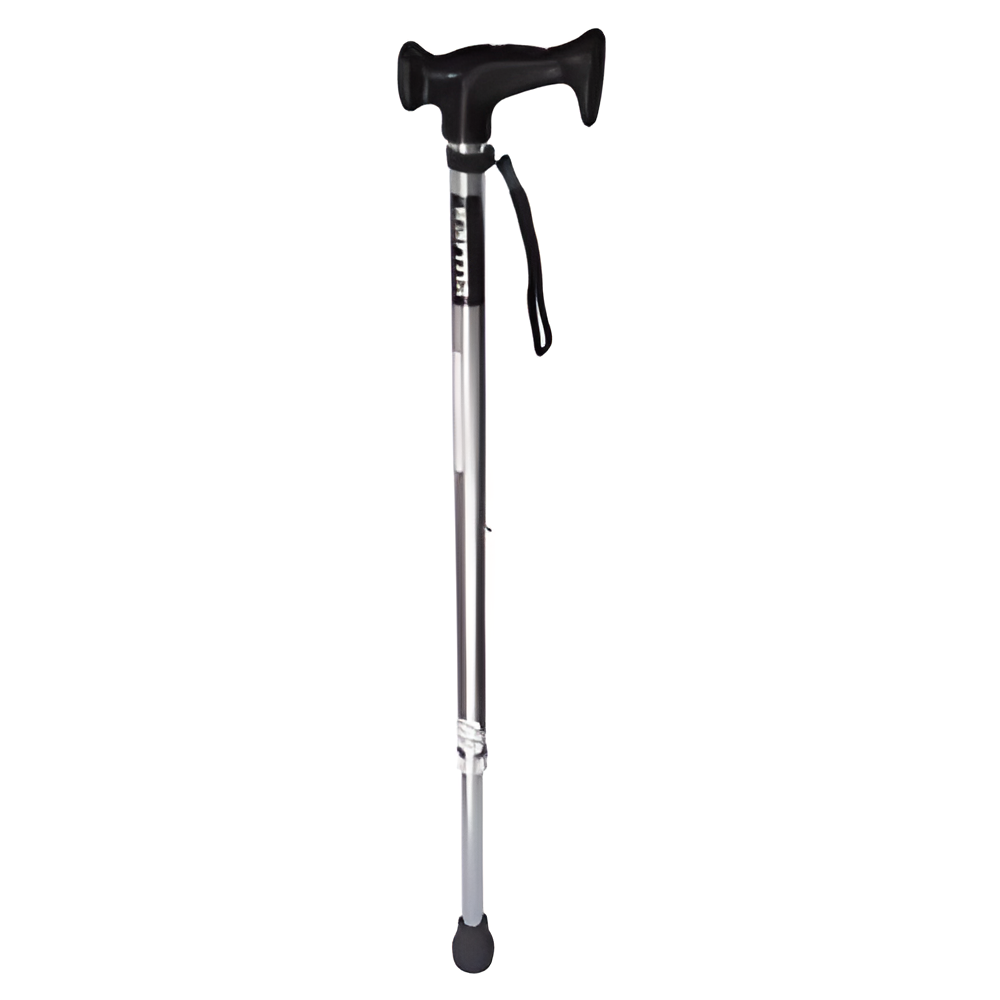 Walking Stick